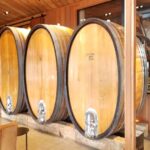 San Francisco: Muir Woods, Sausalito, and Sonoma Wine Tour - What Makes This Tour Stand Out?