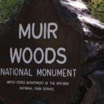 San Francisco: Muir Woods, Sausalito, and Tiburon Day Trip - Is It Worth the Price?