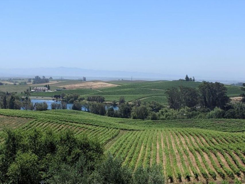 San Francisco: Napa and Sonoma Valley Private Wine Tour - Breaking Down the Experience