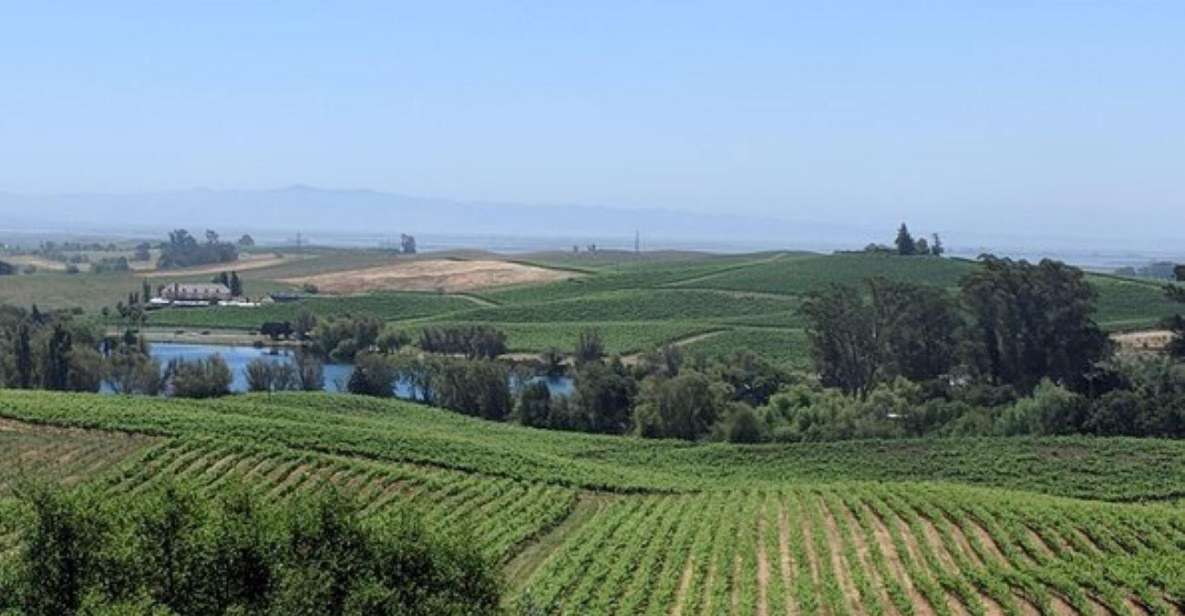 San Francisco: Napa and Sonoma Valley Private Wine Tour - Who Should Book This Tour?
