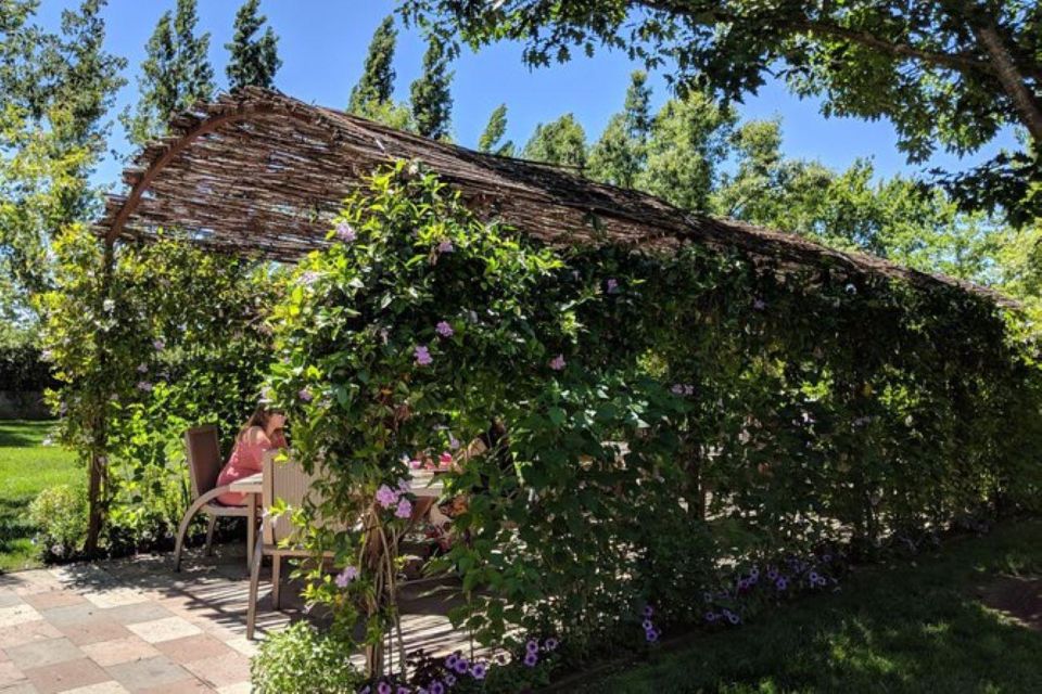 San Francisco: Napa and Sonoma Valley Private Wine Tour - Final Thoughts