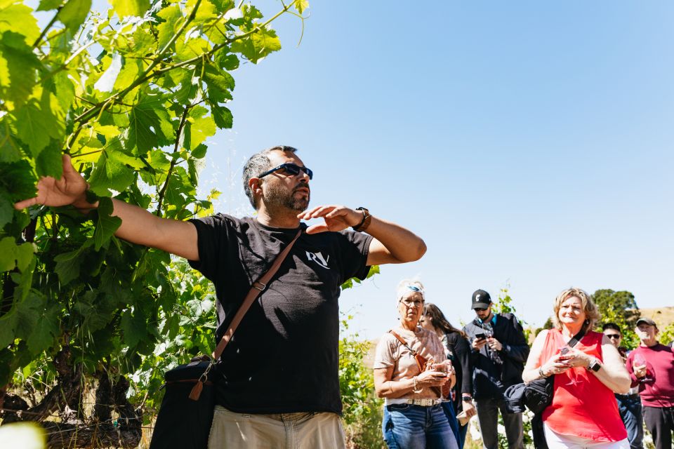 San Francisco: Napa and Sonoma Valley Wine Tour - The Value for Money
