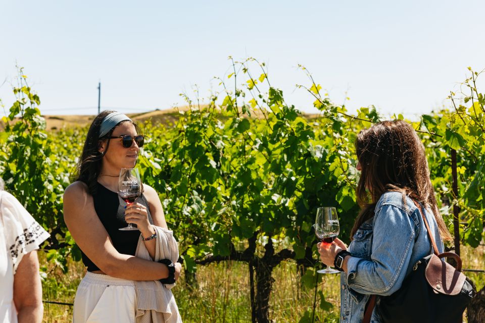San Francisco: Napa and Sonoma Valley Wine Tour - The Sum Up