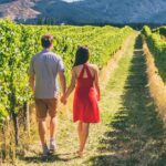 San Francisco: Napa & Sonoma Wine Tour & 24hr Hop-on Hop-off Tour - The Itinerary in Detail