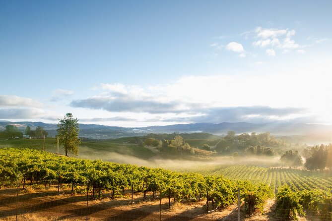 San Francisco: Napa & Sonoma Wine Tour & 24hr Hop-on Hop-off Tour - FAQ