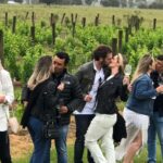 San Francisco: Napa Valley Half-Day Wine Tour with Tastings - The Itinerary in Detail
