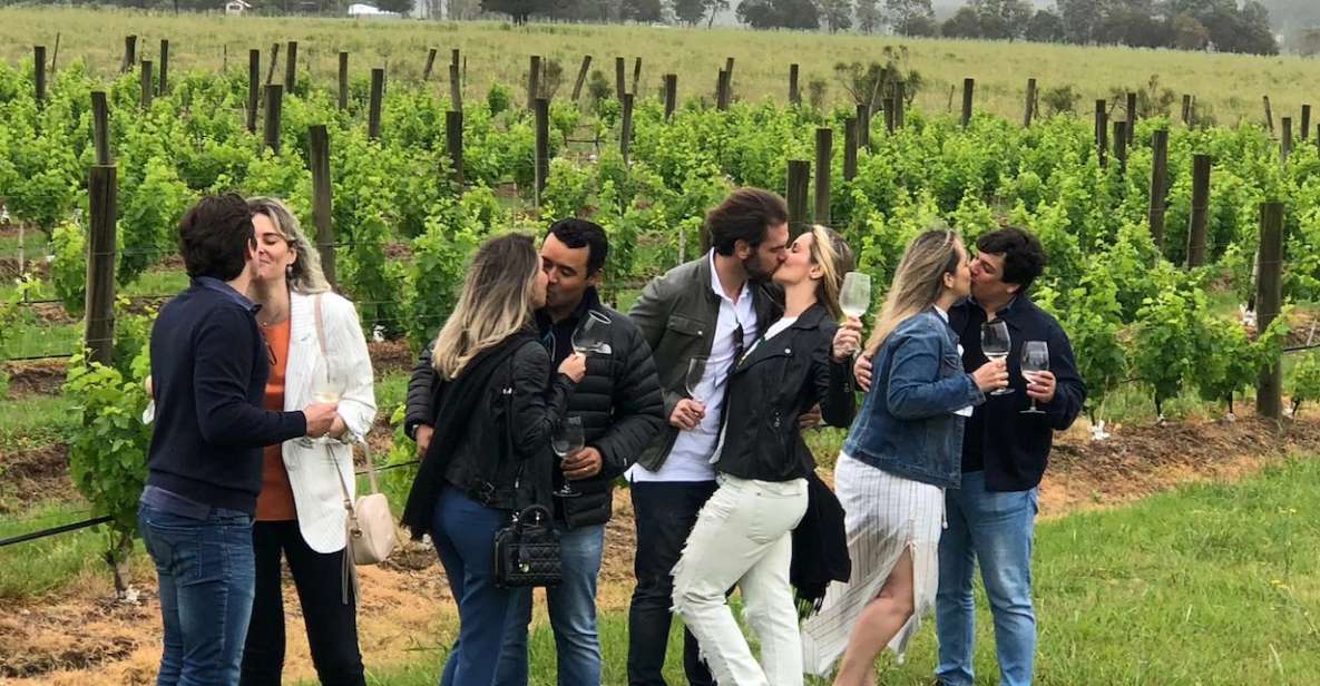 San Francisco: Napa Valley Half-Day Wine Tour with Tastings - The Itinerary in Detail