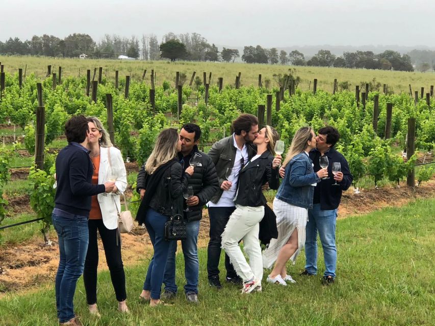 San Francisco: Napa Valley Half-Day Wine Tour with Tastings - What’s Included and What’s Not