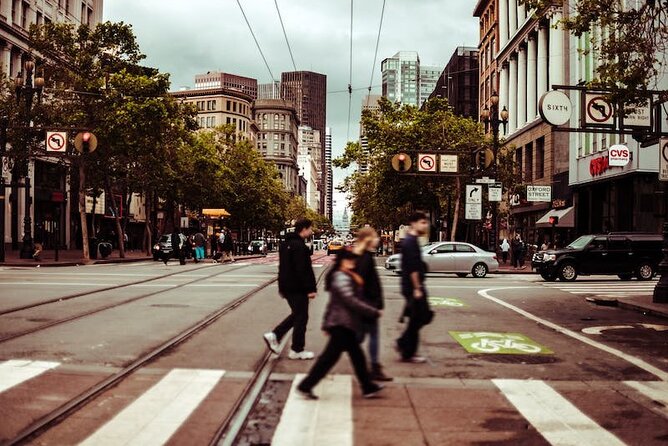 San Francisco Private City Tour (Walking, Private Bus, Shuttle) - Who Is This Tour Best Suited For?