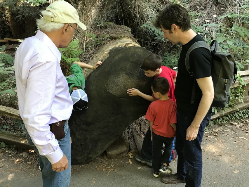 San Francisco: Private Muir Woods and Sausalito Tour - Authentic Experiences and Insights from Reviewers