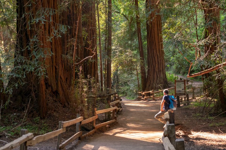 San Francisco: Private Muir Woods and Sausalito Tour - FAQ
