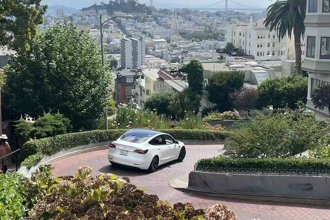 San Francisco Private Sightseeing Tour - The Sum Up  