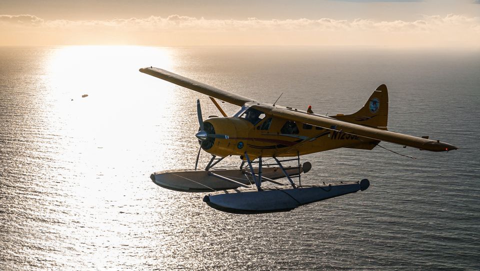 San Francisco: Seaplane Flight with Champagne - The Experience: What Sets It Apart