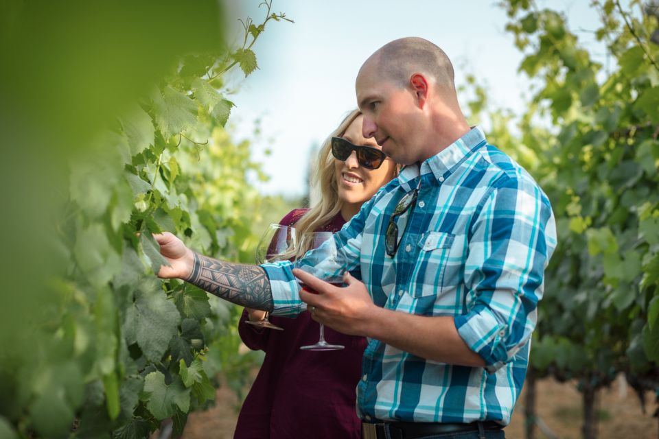 San Francisco: Sonoma Wine Country Tour with Tastings - Key Points