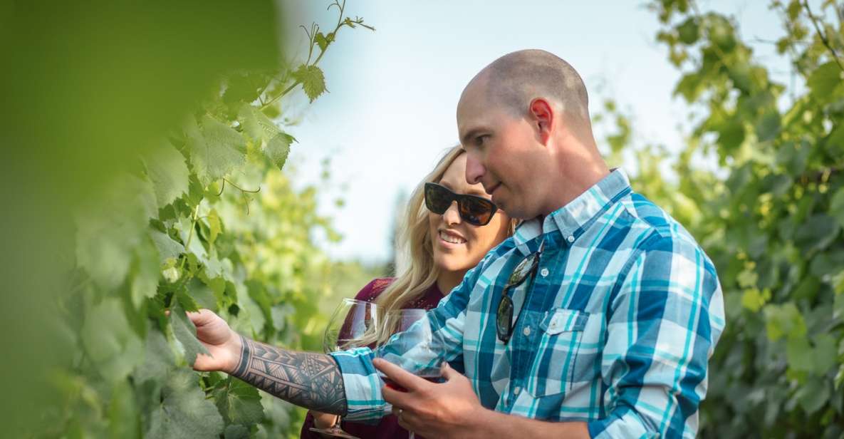 San Francisco: Sonoma Wine Country Tour with Tastings - The Itinerary in Detail