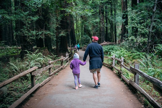 San Francisco Super Saver: Muir Woods & Wine Country w/ optional Gourmet Lunch - The Authenticity and Practicality
