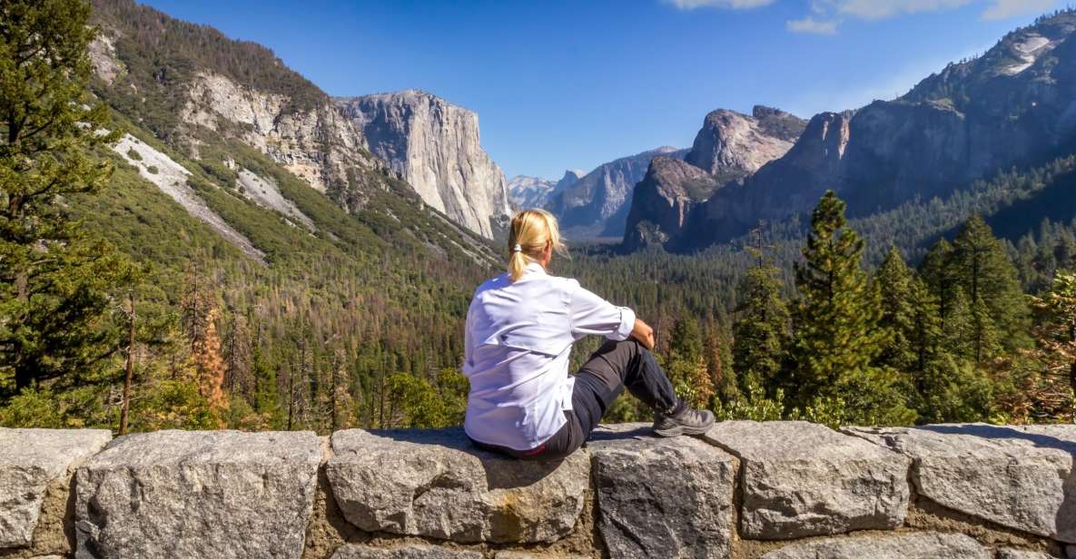 San Francisco to/from Yosemite National Park: 1-Way Transfer - Pricing and Value