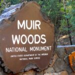 San Francisco to Muir Woods Cycling Tour - Detailed Breakdown of the Itinerary