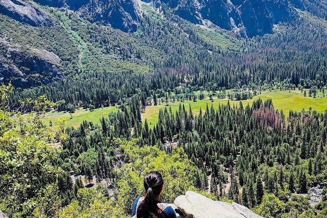 San Francisco to Yosemite One-Way Transfer - Frequently Asked Questions (FAQs)