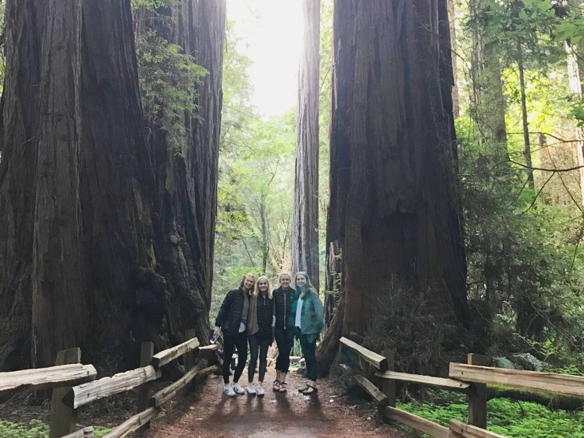San Francisco Tour to Muir Woods Giant Redwoods & Sausalito - The Itinerary in Detail: What You’ll Experience