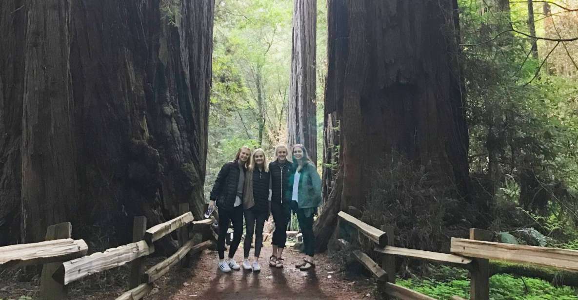 San Francisco Tour to Muir Woods Giant Redwoods & Sausalito - What to Expect from the Experience