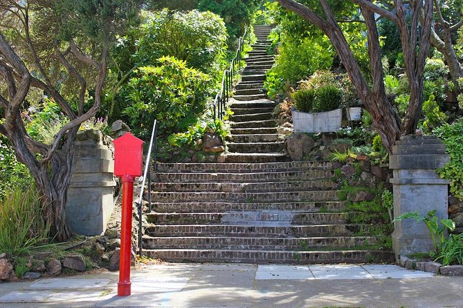 San Francisco Urban Hike: Castro and Twin Peaks - Is This Tour Worth the Price?