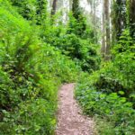 San Francisco Urban Hike: Castro and Twin Peaks - FAQ