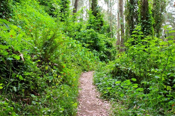 San Francisco Urban Hike: Castro and Twin Peaks - FAQ