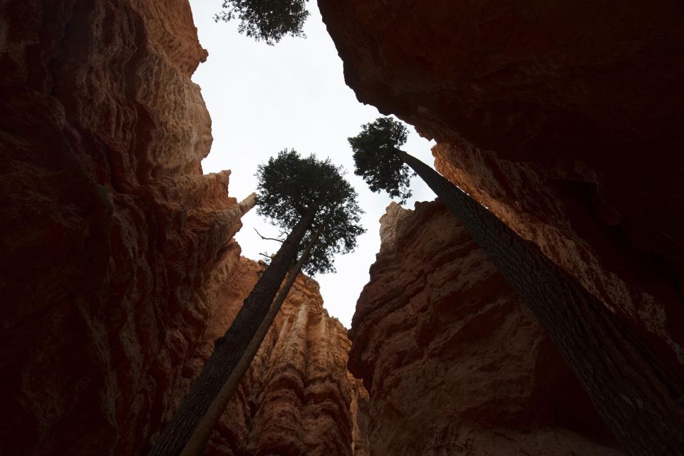 San Francisco: Yosemite, Las Vegas, Bryce & Zion, 6-Day Tour - Final Thoughts: Is This Tour Right for You?