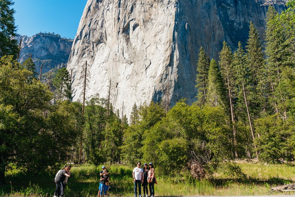 San Francisco: Yosemite National Park & Giant Sequoias Hike - Final Thoughts: Is This Tour for You?
