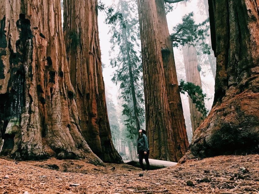 San Francisco: Yosemite Park 2-Day Trip with Accommodation - Final Words