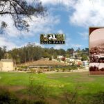 San Francisco's Glen Park and Glen Canyon: A Self-Guided Tour - Why You’ll Love This Tour