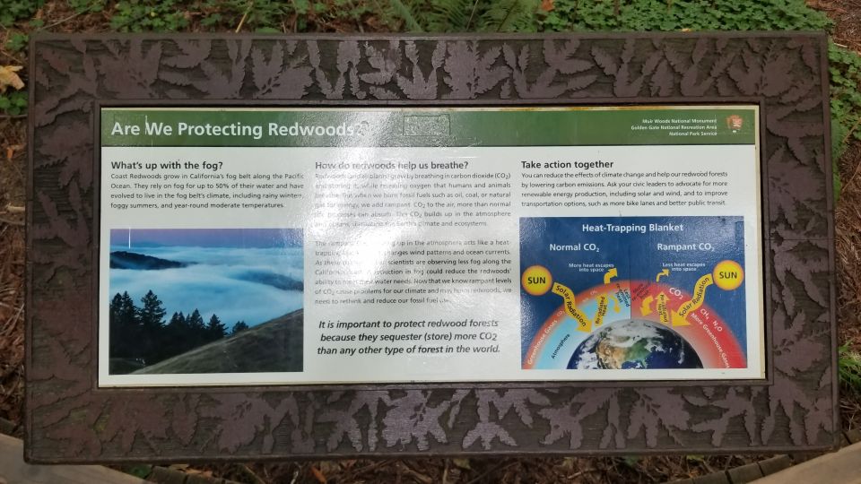 San Fransico: Muir Woods & Marin Headlands Private Tour - An In-Depth Look at the Tour Experience