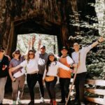San Jose: Yosemite National Park and Giant Sequoias Trip - Is It Worth the Price? Analyzing Value and Experience