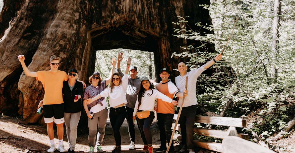 San Jose: Yosemite National Park and Giant Sequoias Trip - Is It Worth the Price? Analyzing Value and Experience