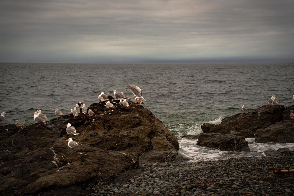 San Juan Island: 3-h Griffin Bay Tour - The Itinerary Breakdown