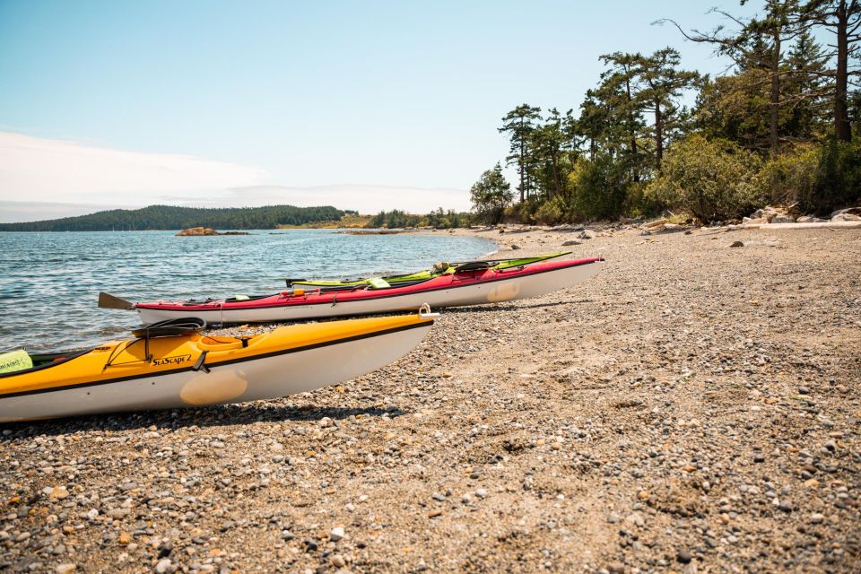 San Juan Island: 3-h Griffin Bay Tour - Practical Details & What to Expect