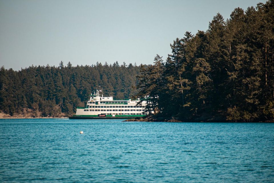 San Juan Island: 3-h Griffin Bay Tour - The Value of the Experience