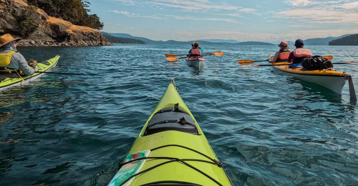 San Juan Island: 3-h Griffin Bay Tour - The Sum Up
