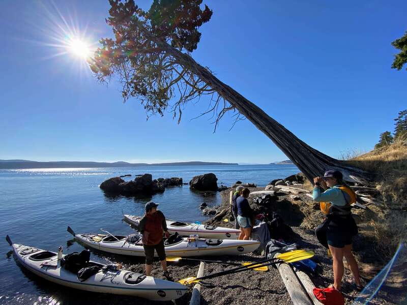 San Juan Islands: 3 Day Kayak and Camping Adventure - The Itinerary Breakdown