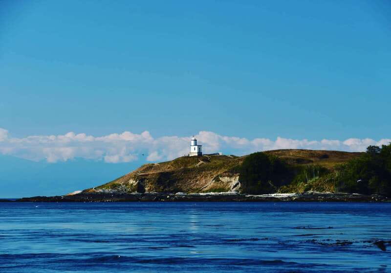 San Juan Islands: 3 Day Kayak and Camping Adventure - Final Thoughts