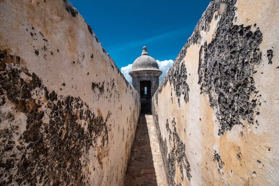 San Juan: Walking Tour with Expert Guide - Who Should Book This Tour?