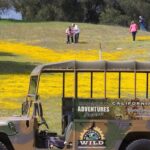 San Luis Obispo: Eagle and Birdwatching Tour by Hummer - An In-Depth Look at the Tour Experience