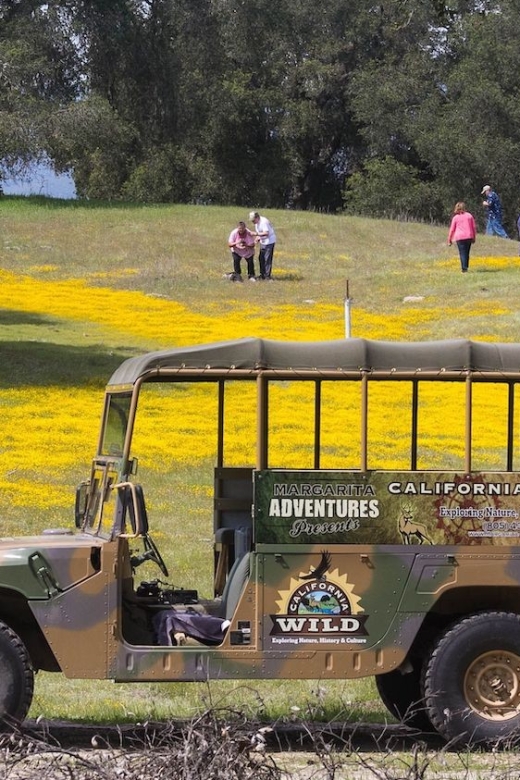 San Luis Obispo: Eagle and Birdwatching Tour by Hummer - An In-Depth Look at the Tour Experience
