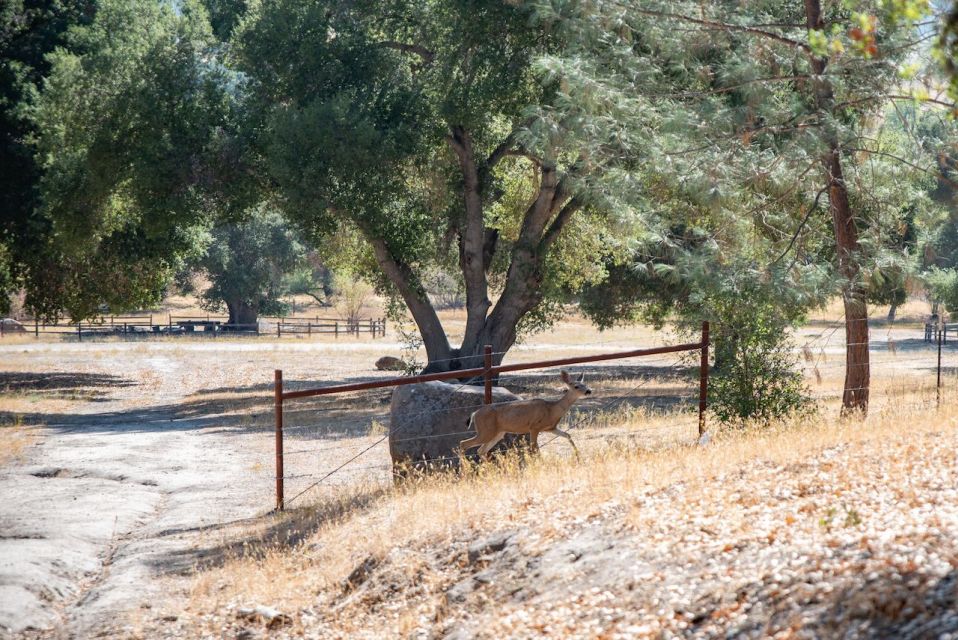 San Luis Obispo: Margarita Ranch Foraging Tour - What You Can Expect on the Santa Margarita Ranch Foraging Tour