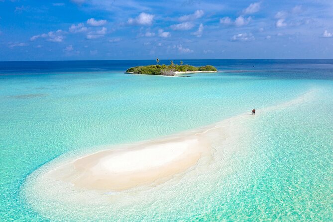 Sandbar Adventure from Key West - An In-Depth Look at the Sandbar Adventure in Key West
