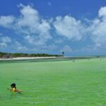 Sandbar Excursion in Key West - Who Will Love This Tour?