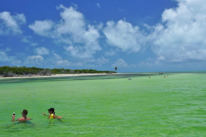 Sandbar Excursion in Key West - Who Will Love This Tour?