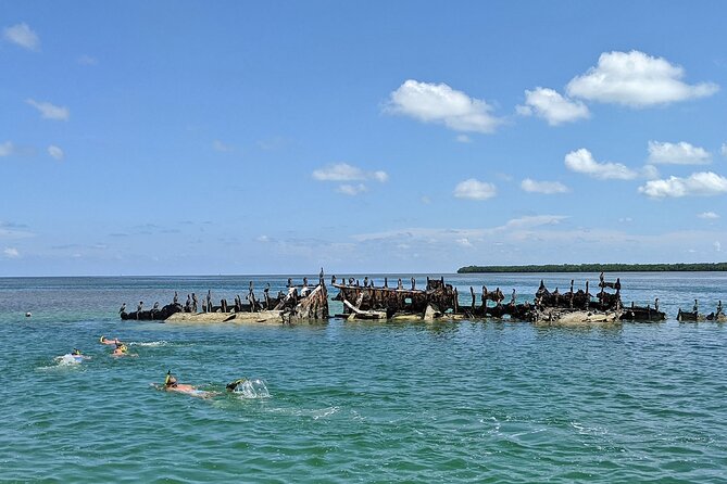 Sandbar Excursion in Key West - Why This Tour Creates Lasting Memories