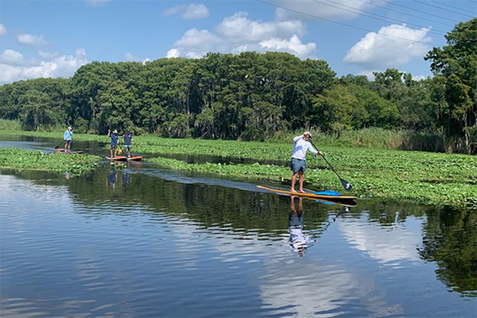 Sanford: Guided SUP or Kayak Manatee-Watching Tour - Who Should Consider This Tour?